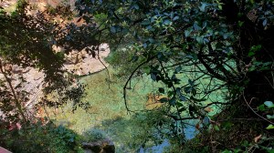 La caletta segreta di Lerici – Sposini in viaggio